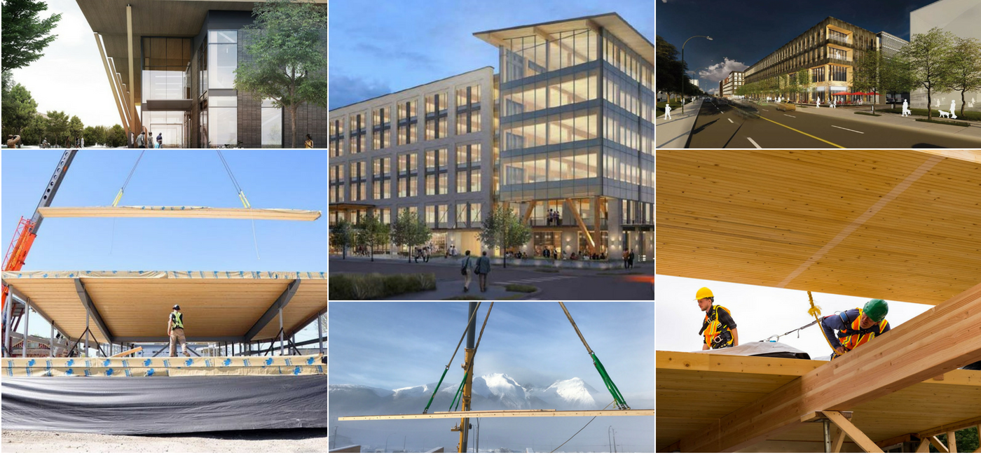 North American Dowel Laminated Timber Projects Completed and Underway
