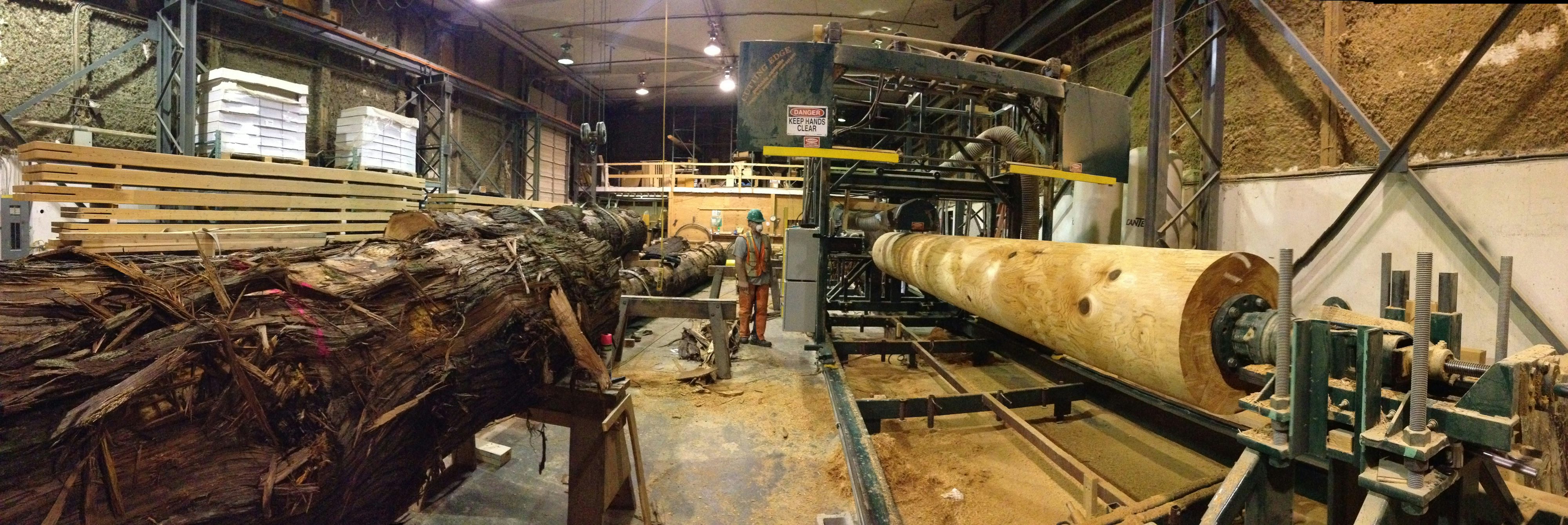 Western Red Cedar Log Turning